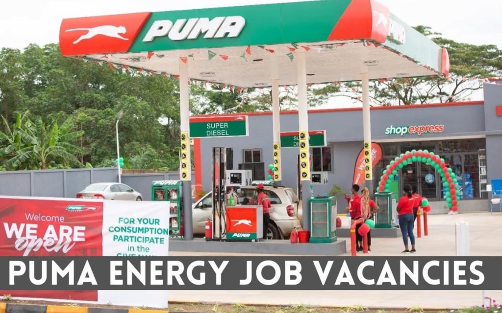 Puma Energy Careers Australia, South Africa, Singapore, Papua New Guinea