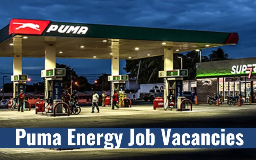 Puma Energy Jobs Ghana, S.Africa, P.N.Guinea, Mozambique, Zimbabwe ...